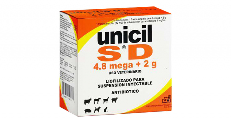 Unicil SD 4.8 mega + 2 g